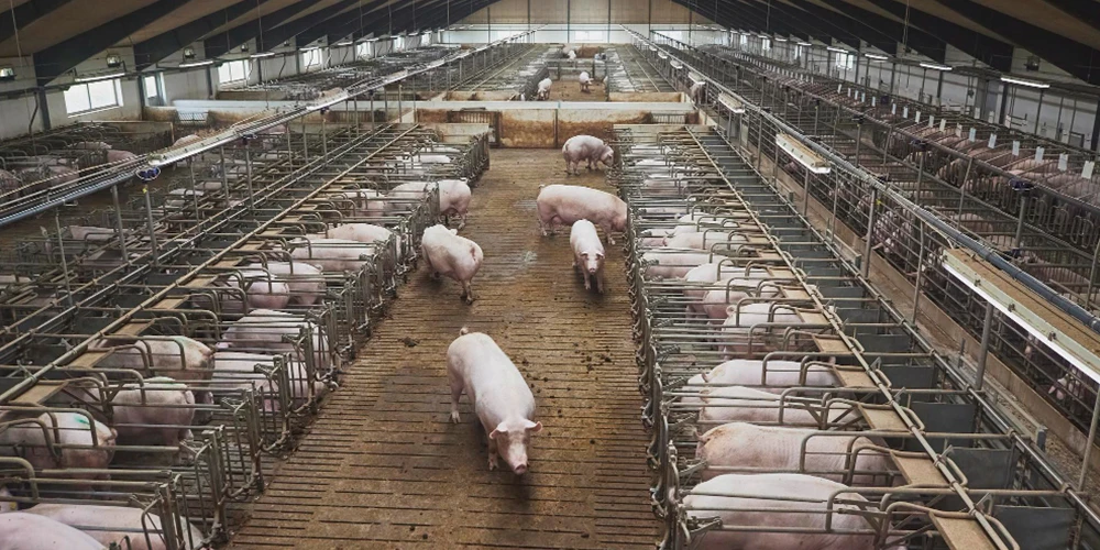 Explosion-Proof Round Junction Box Guide - AGC Lighting